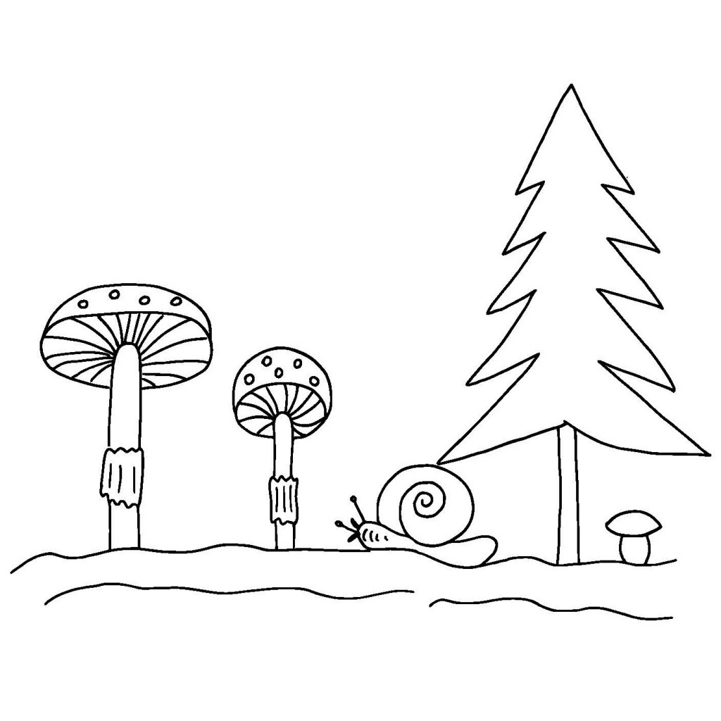 V lese - Předškoláci